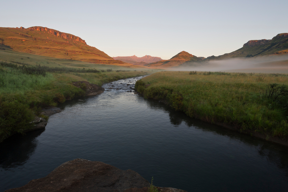 Building a bankable nature-based solution from scratch in the Southern ...