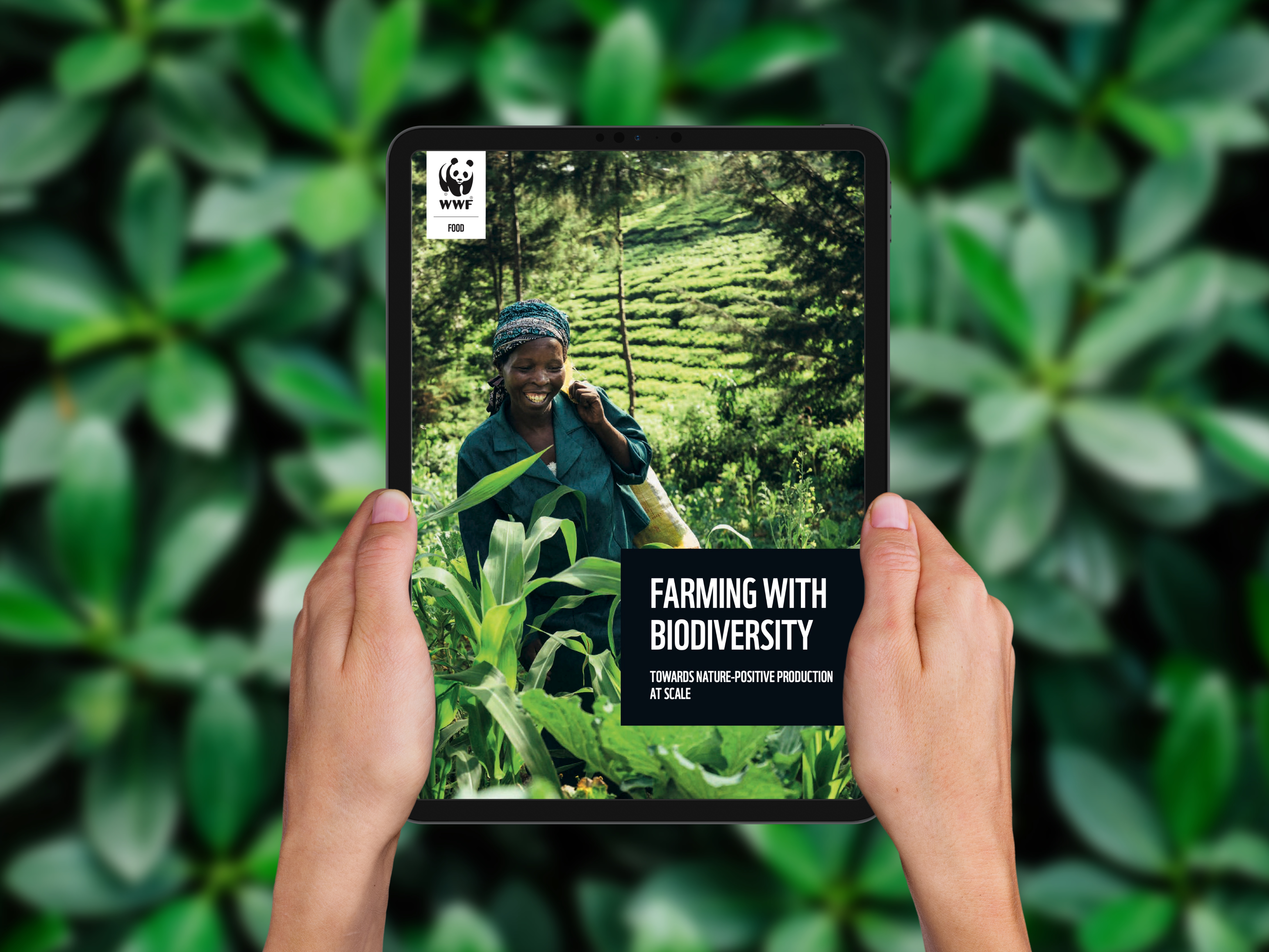Farming with Biodiversity | WWF | Research