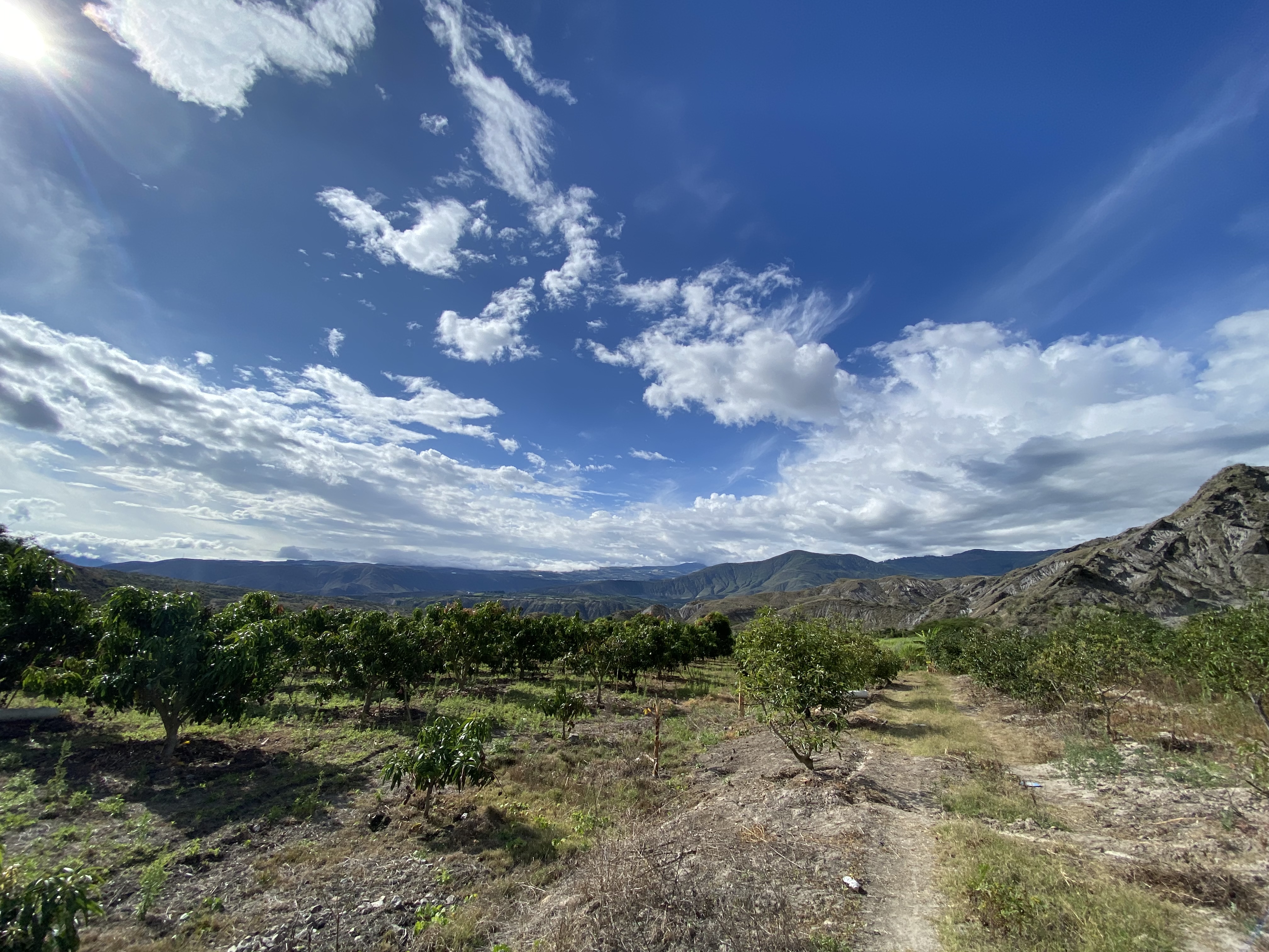 DFCD partners with local financier of small-scale climate-smart ...