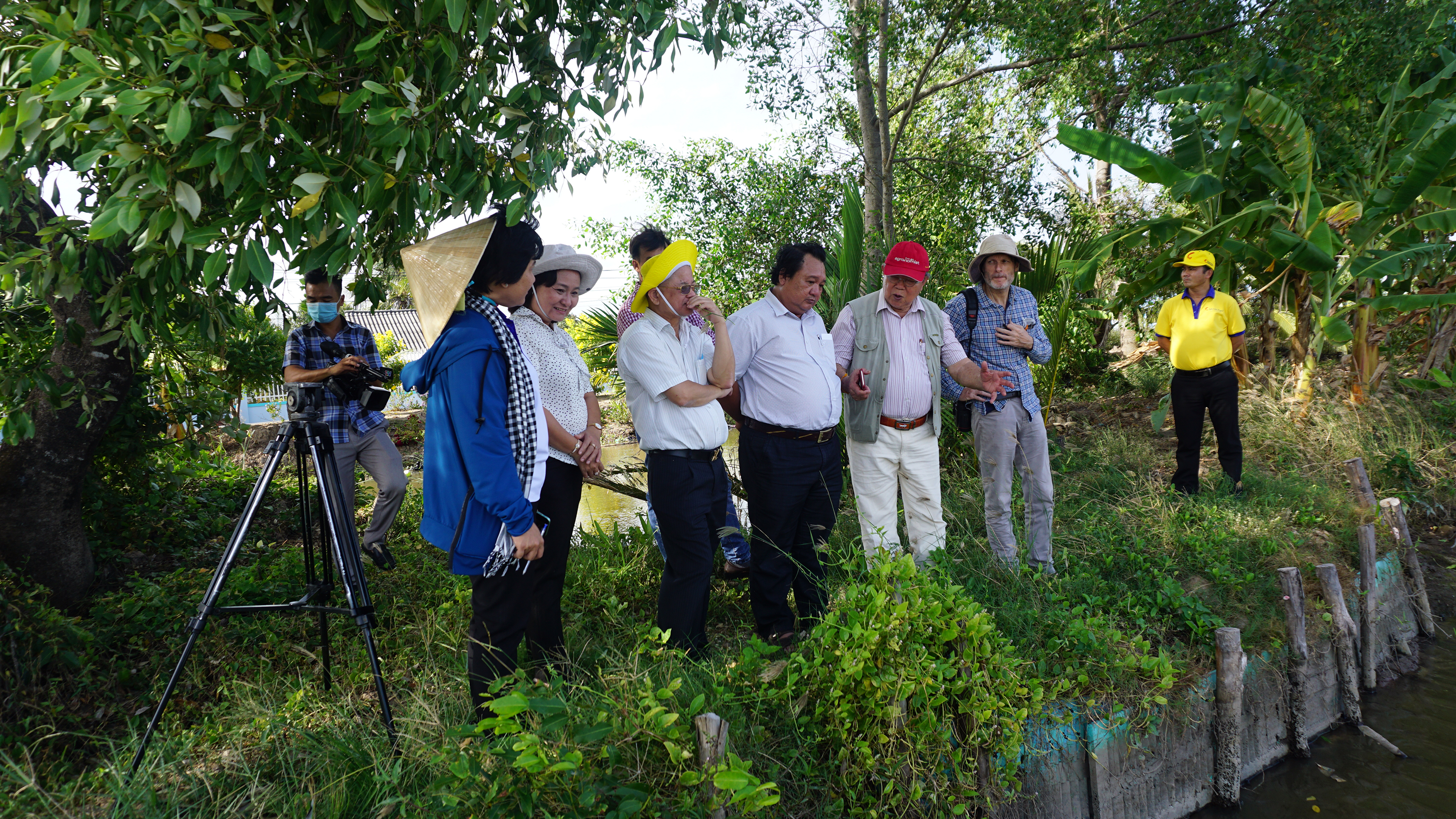 DFCD deal flow accelerating midway through the project